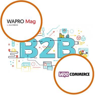 Program do zarządzania firmą Platforma B2B dla WAPRO Mag - WooCommerce 30 dni - Opinie i ceny na ...