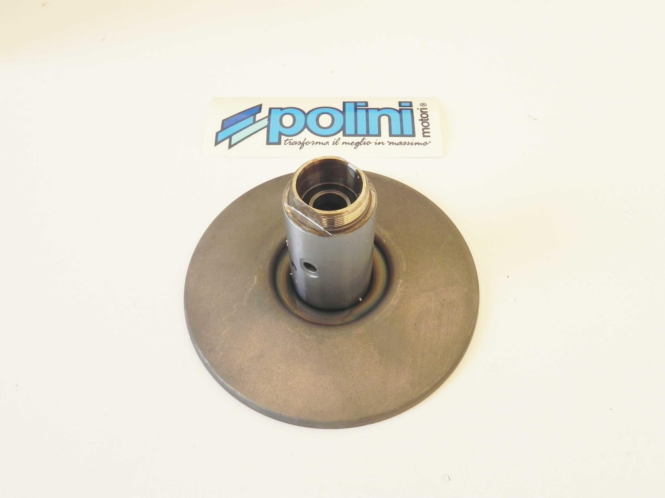 Polini Nowy Korektor Piaggio Gilera Zip Quartz 244530 - opinie i ceny ...