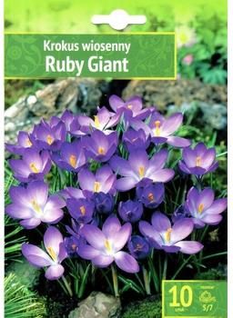 Crocus Krokus Ruby Giant 10 Szt. Benex - Ceny i opinie - Ceneo.pl
