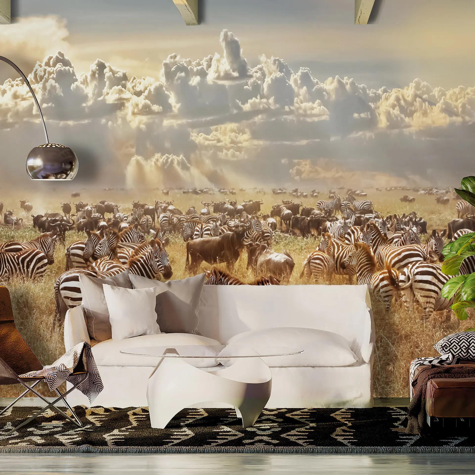 FOTOTAPETA - ZEBRA W STADZIE 100X70 A0XLFT1884 - Opinie i ceny na Ceneo.pl