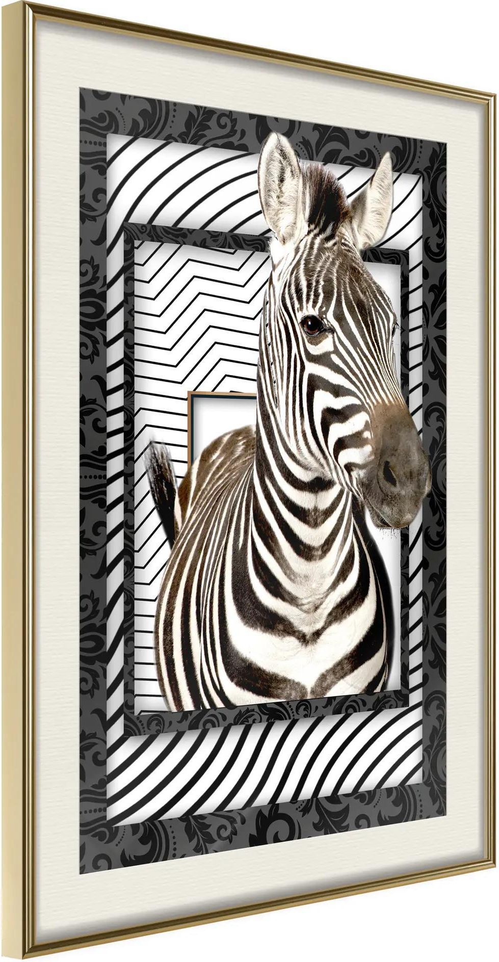 Plakat - Zebra W Ramie 40x60 Wykończenie Rama Złota Z Passe-Partout ...