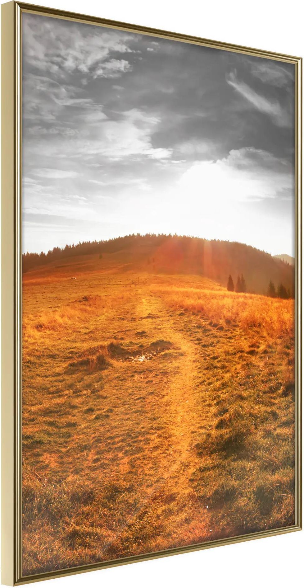 Plakat - Preria 40x60 Wykończenie Rama Złota Z Passe-Partout ...