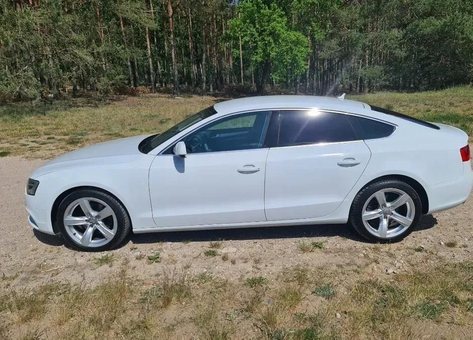 Audi A5 2.0 TDI Sportback DPF - Opinie i ceny na Ceneo.pl