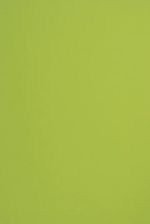 Sirio Color Papier Col. 115G Lime J. Zielony 50A4 - Ceny i opinie ...