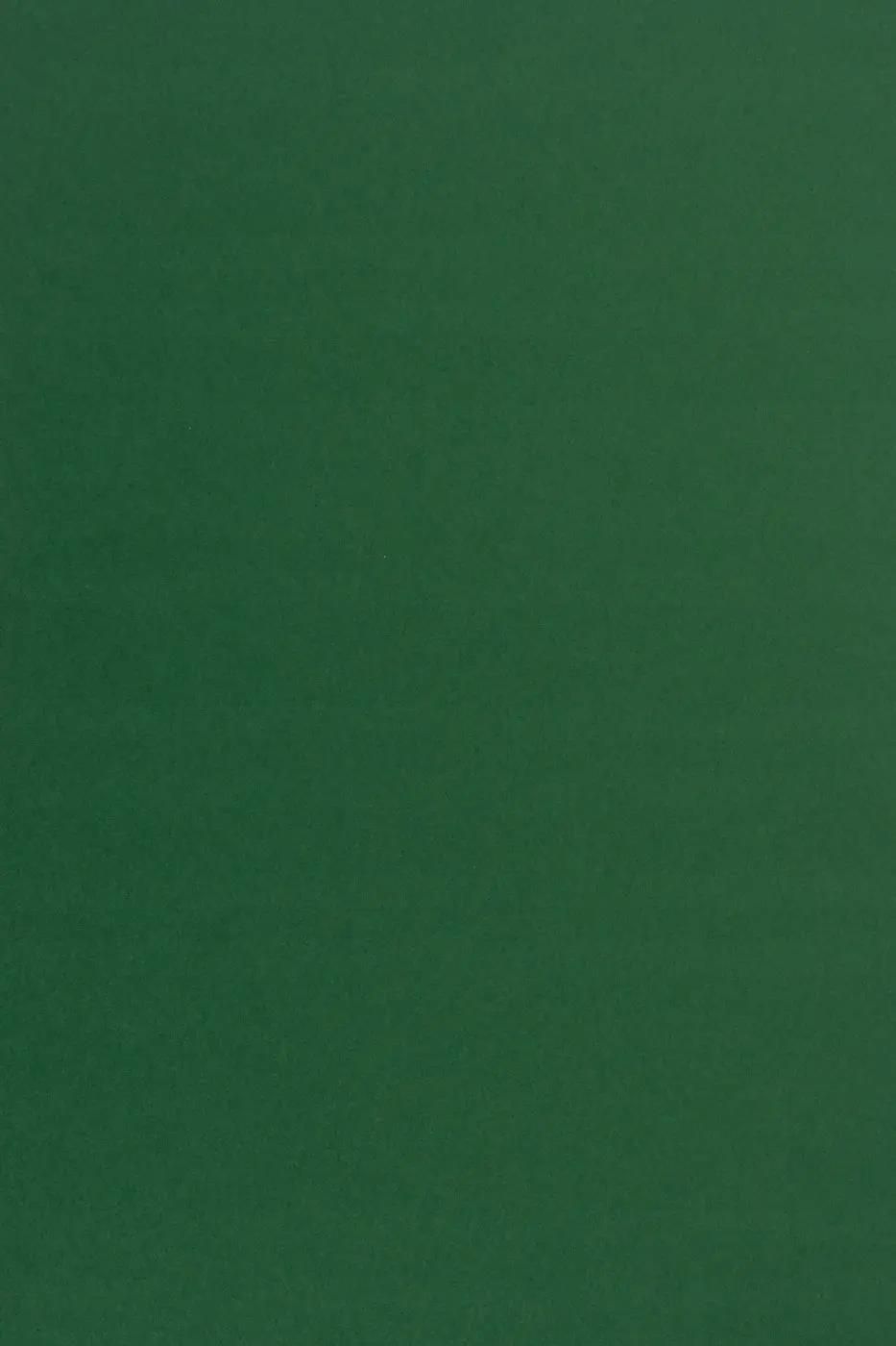 Sirio Color Papier Col. 115G Foglia Zielony 50A4 - Ceny i opinie - Ceneo.pl