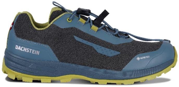 Buty trekkingowe Dachstein Delta Rise 2.0 Gtx Szary - Ceny i opinie ...