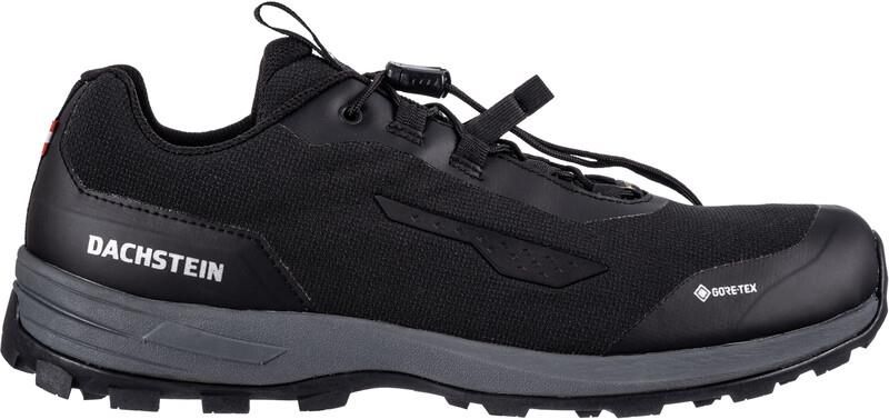 Buty trekkingowe Dachstein Delta Rise 2.0 Gtx Shoes Men Czarny 43 ...