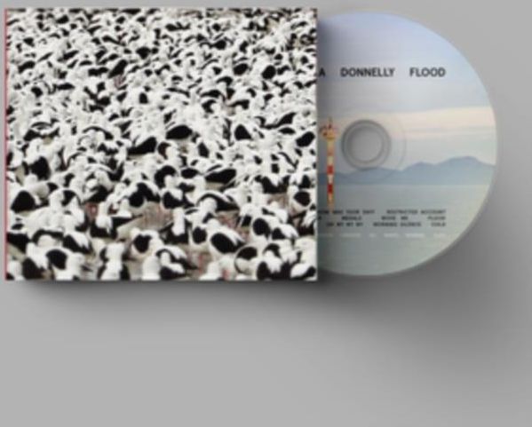 Płyta kompaktowa Stella Donnelly - Flood (CD) - Ceny i opinie - Ceneo.pl
