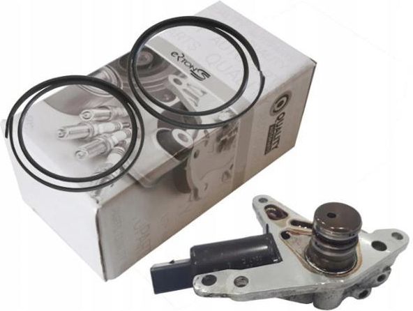 Ertons Pierścienie Nastawnika Do Audi A6 C5 Avant 2.0 Alt 06B103741D ...