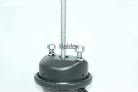 Haldex Siłownik Membranowy 123200003 - Opinie i ceny na Ceneo.pl