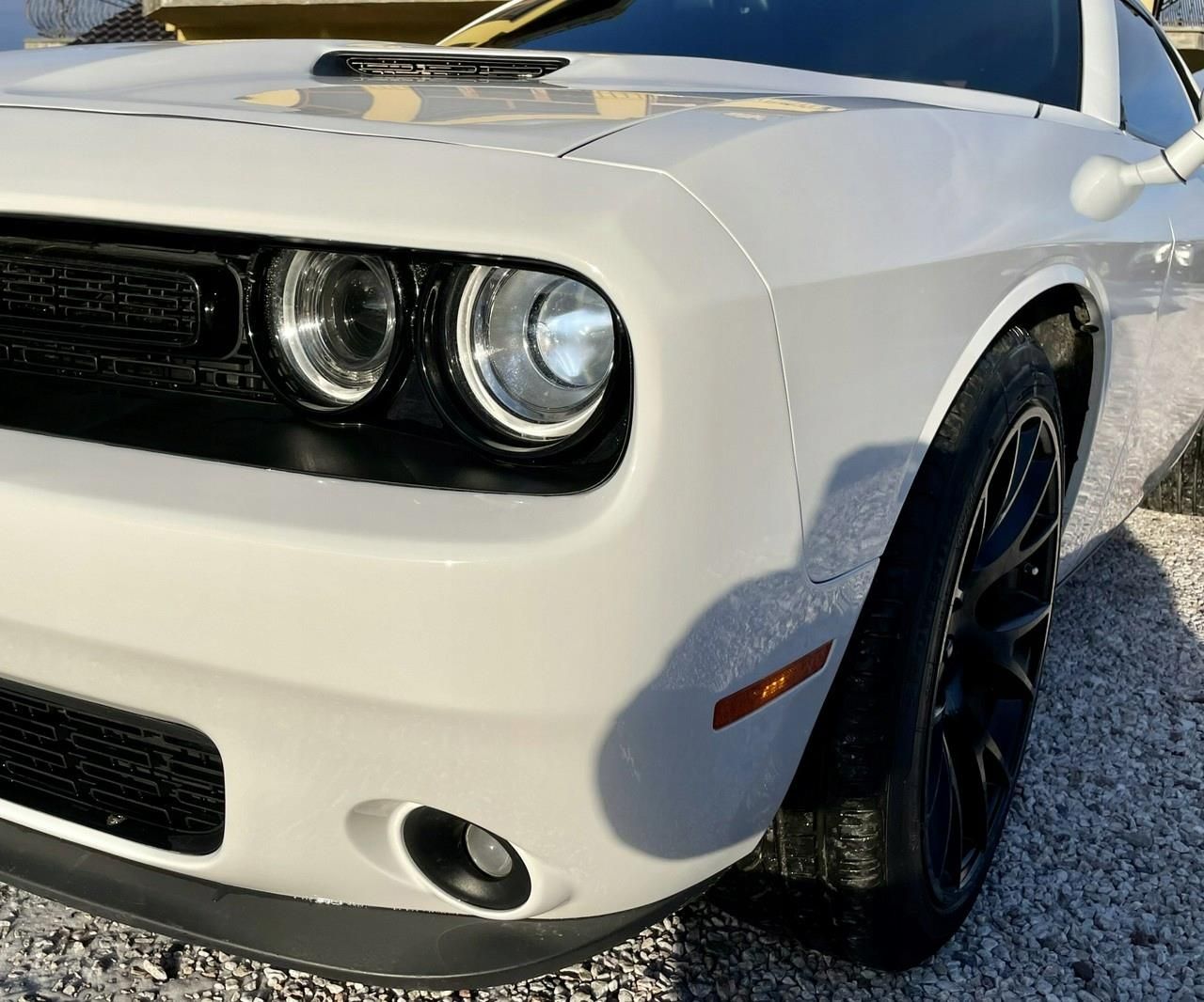 Dodge Challenger Face Lift,Automat,LED,Gwarancja - Opinie i ceny na ...