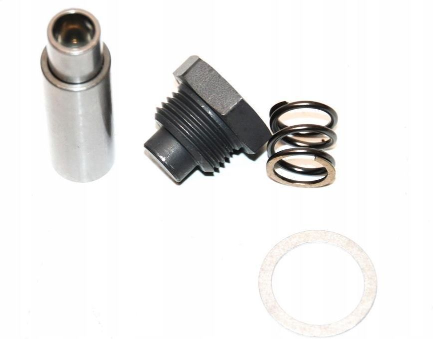 Bmwoe Napinacz Łańcucha Rozrządu Bmw K70 K71 K72 K73 K75 11318531009 - opinie i ceny na Ceneo.pl