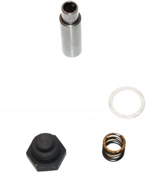 Bmwoe Napinacz Łańcucha Rozrządu Bmw K70 K71 K72 K73 K75 11318531009 - opinie i ceny na Ceneo.pl