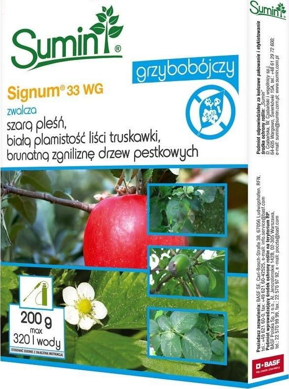 Signum 33 Wg 200g - Ceny i opinie - Ceneo.pl
