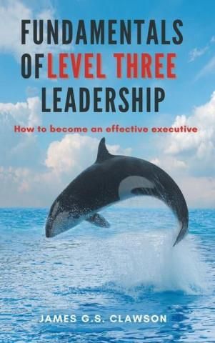 Fundamentals Of Level Three Leadership: How To Become An Effective ...