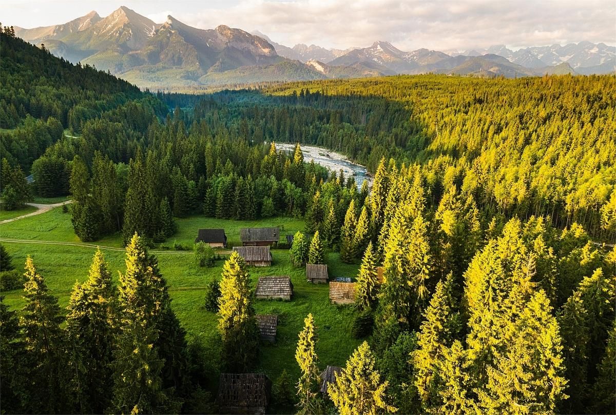 Wytwory Fototapeta Tatry Góry Las Jurgów 370x255 - Opinie i ceny na ...