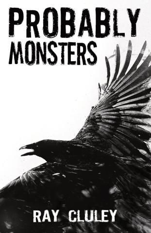 Probably Monsters - Literatura obcojęzyczna - Ceny i opinie - Ceneo.pl