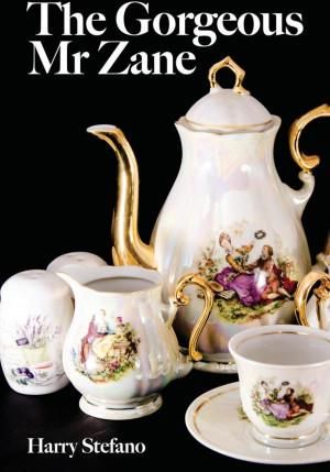 The Gorgeous Mr Zane - Literatura obcojęzyczna - Ceny i opinie - Ceneo.pl