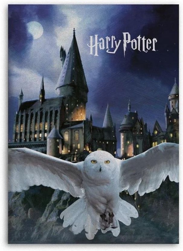 Aymax Harry Potter Hedwiga Hogwart Koc Polarowy 100X140 63029990 ...