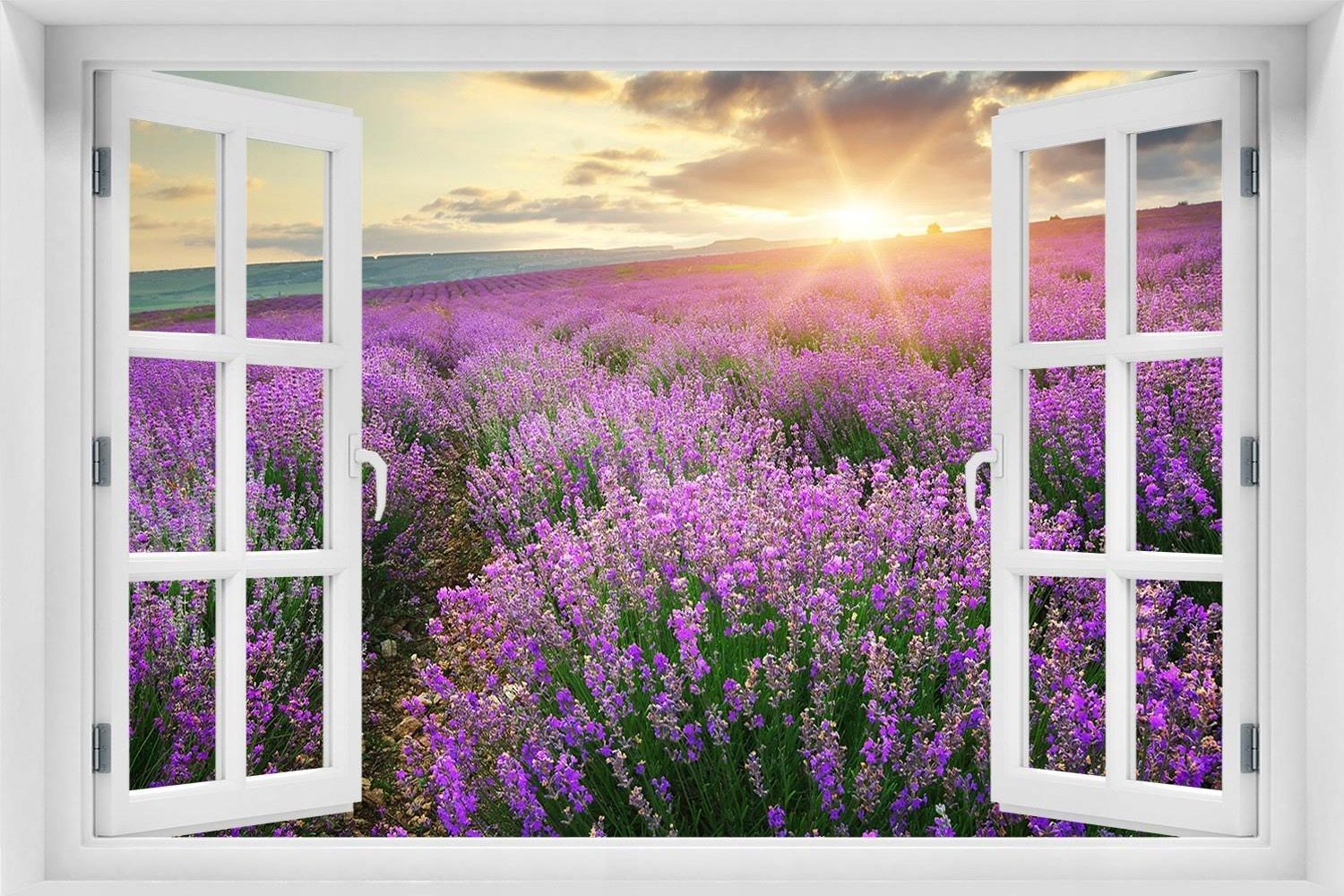 Naklejka Fototapeta Okno Widok Pole Lawendy 90X60 - Opinie i atrakcyjne ...