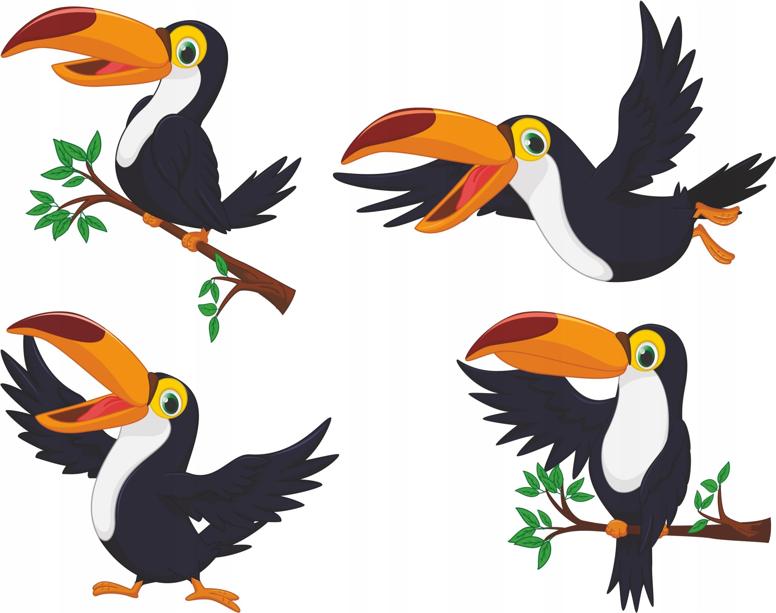 Naklejki Na Meble Ścianę Kask Rower Tukany Ptaki - Opinie i atrakcyjne ...