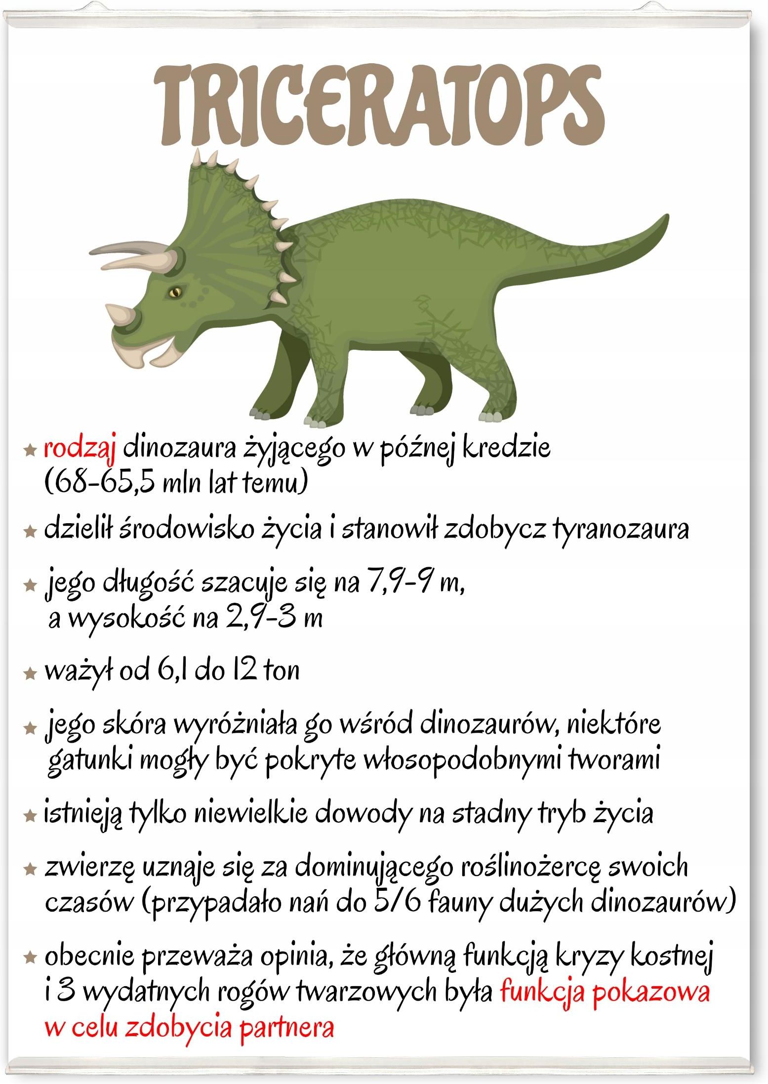 Duży Plakat Dinozaury Triceratops Opis Dinozaur - Opinie i atrakcyjne ...