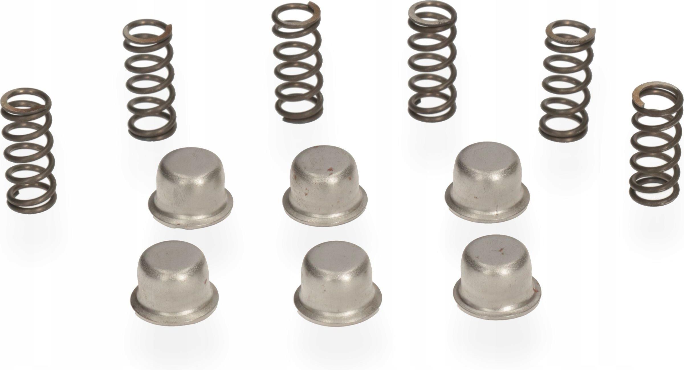 Części motocyklowe Venbo Sprężyny + Miska Sprzęgła Zestaw Wfm Wsk 125 ...