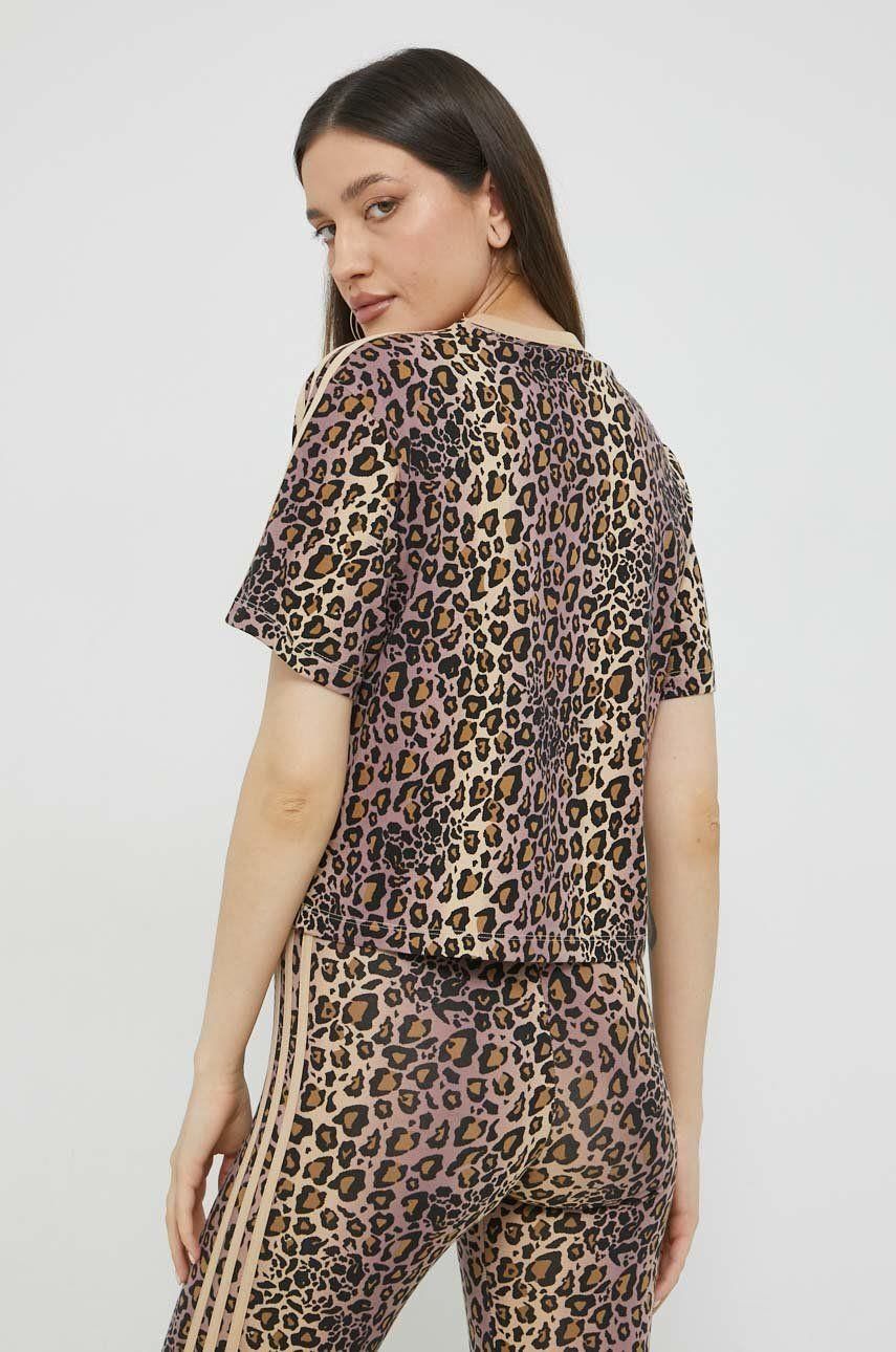 Adidas Originals t-shirt bawełniany - Ceny i opinie - Ceneo.pl