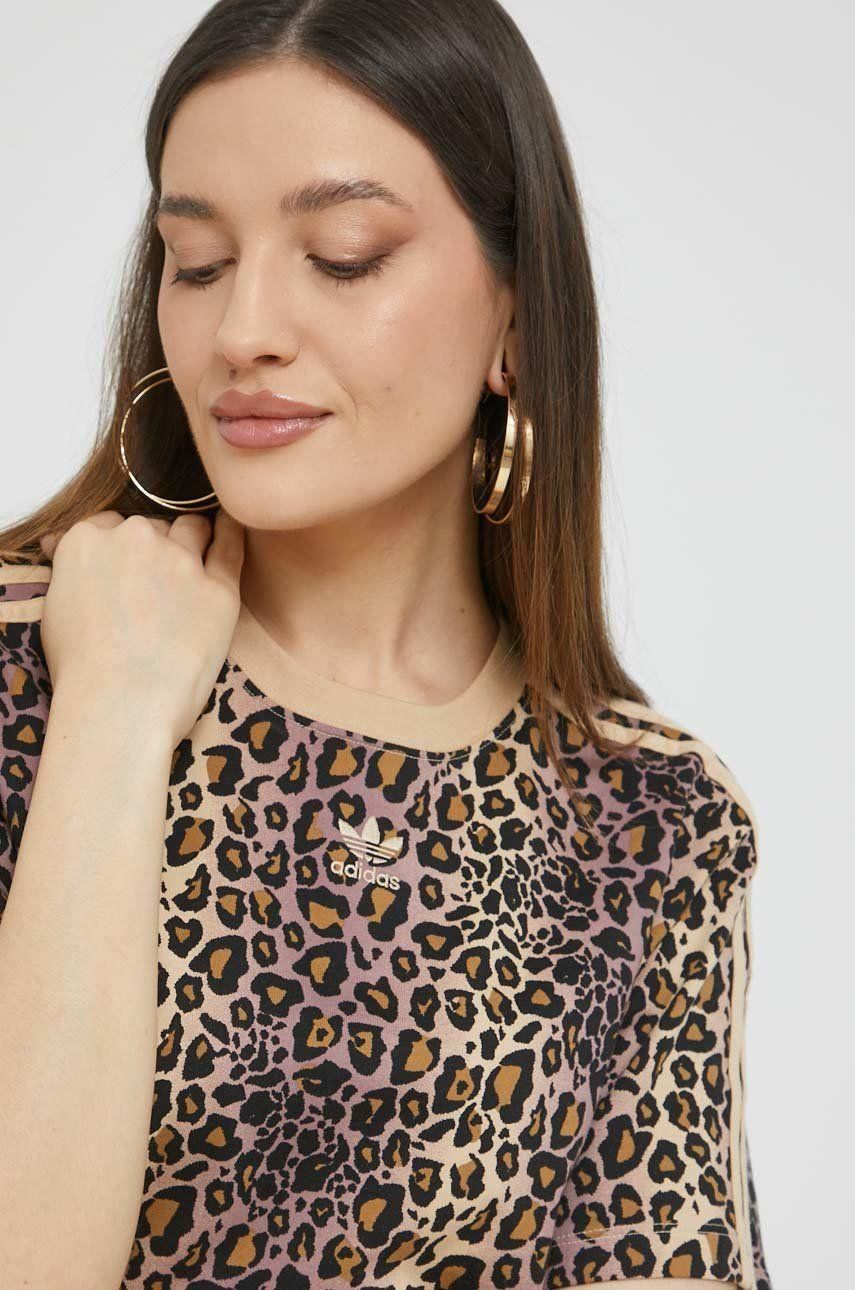 Adidas Originals t-shirt bawełniany - Ceny i opinie - Ceneo.pl