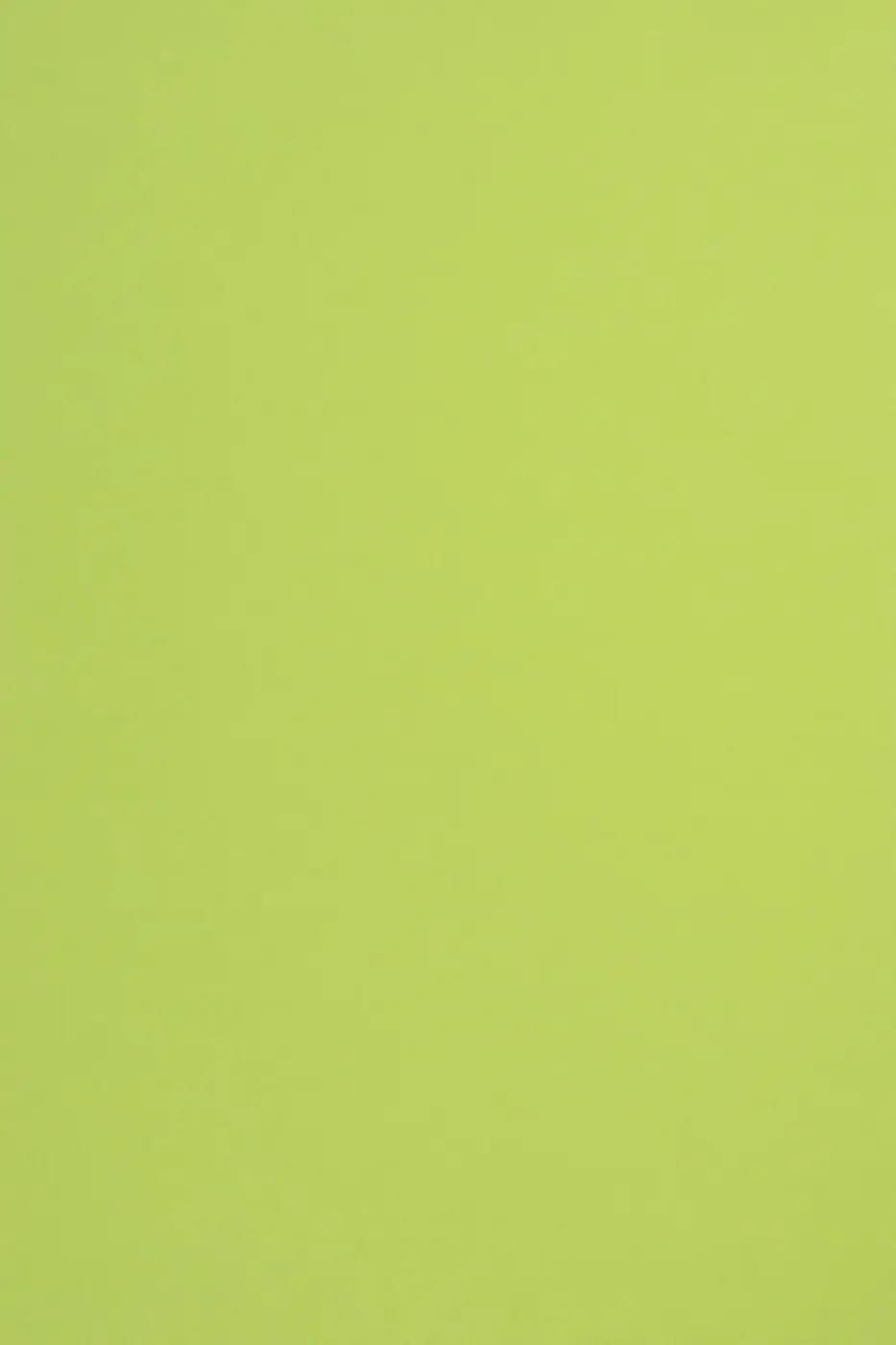 Sirio Color Papier Col. 210G Lime J. Zielony 25A4 (FE210SC16A4) - Ceny ...