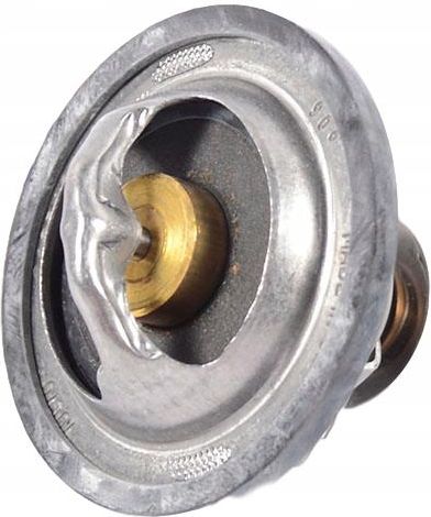 Volvo S80 Xc90 6-Cyl Termostat 272335 - Opinie i ceny na Ceneo.pl