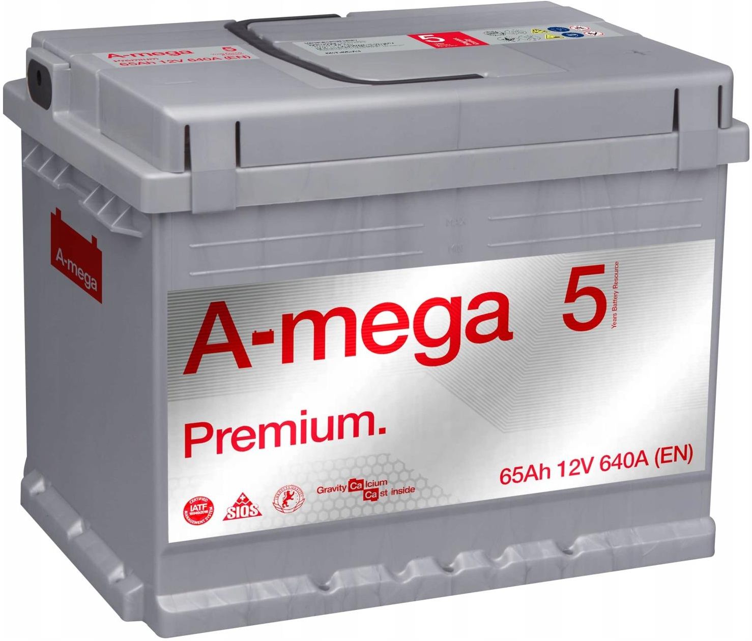 Megatex Amega Premium M5 12V 65Ah 640Ah 65 - Opinie i ceny na Ceneo.pl