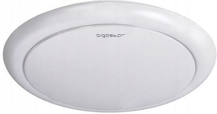 Aigostar Plafon Przemysłowy Ceiling Light 12W 840Lm (192785) - Opinie i ...