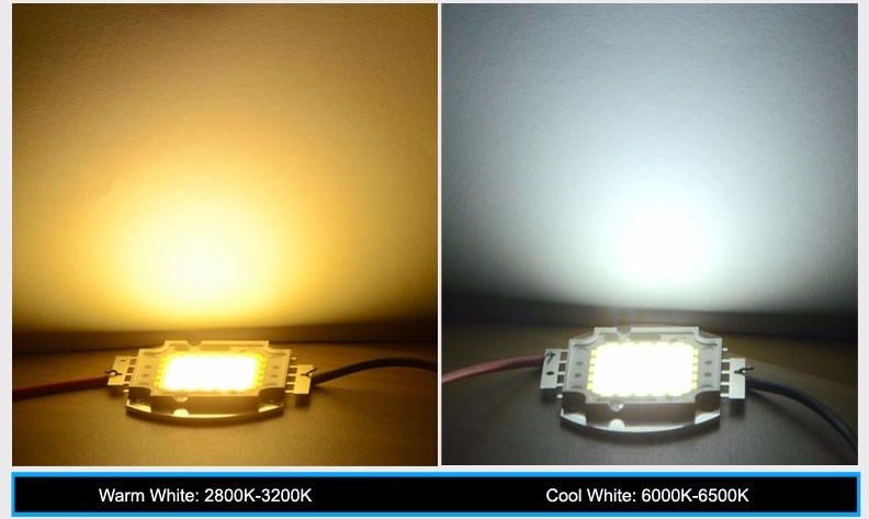 Dioda COB MODUŁ LED 10 W ZIMNA + PASTA TERM. W-WA - Opinie i ceny na ...