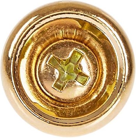 Taylor Strap Button & Screw, Gold - Ceny i opinie - Ceneo.pl