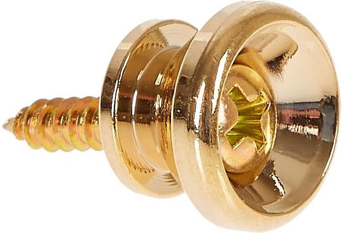Taylor Strap Button & Screw, Gold - Ceny i opinie - Ceneo.pl