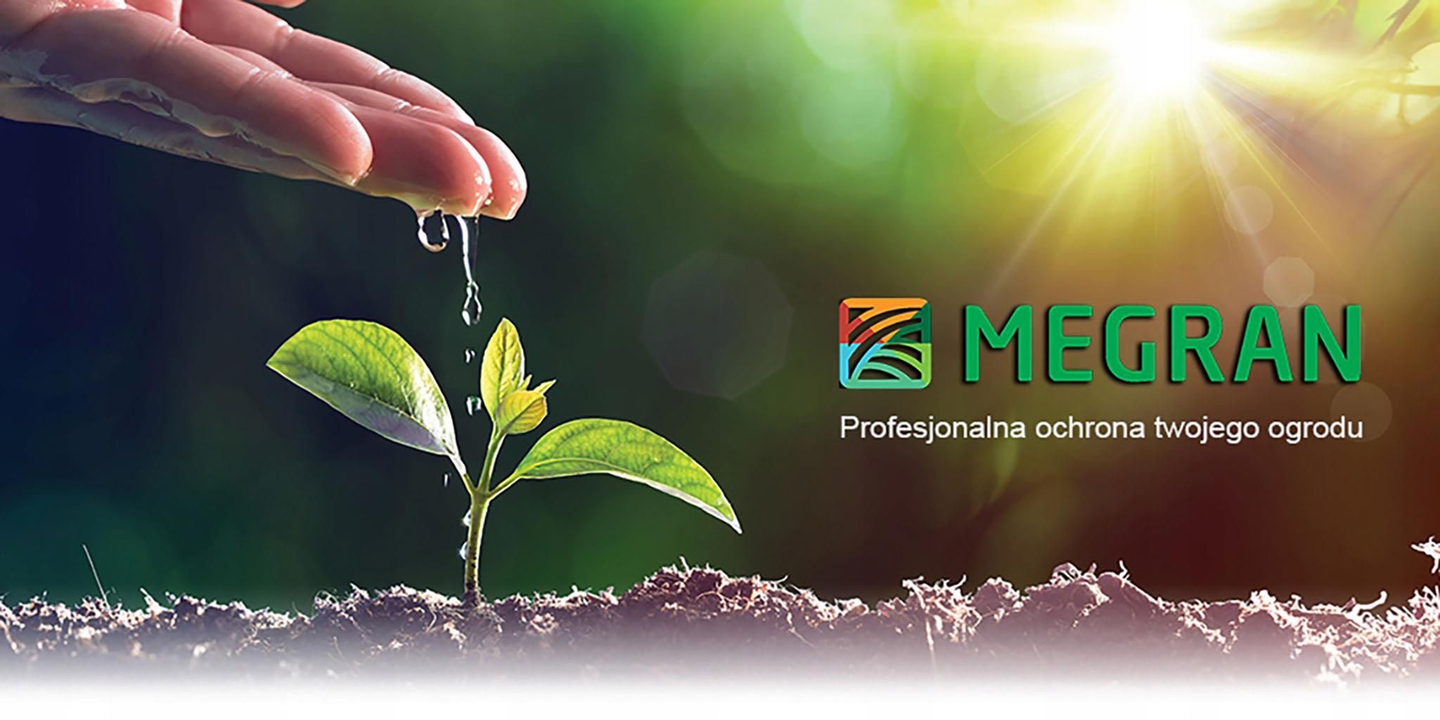 Akcesoria ogrodzeniowe MEGRAN PODSTAWA SŁUPA OGRODOWEGO KOTWA WBIJANA ...