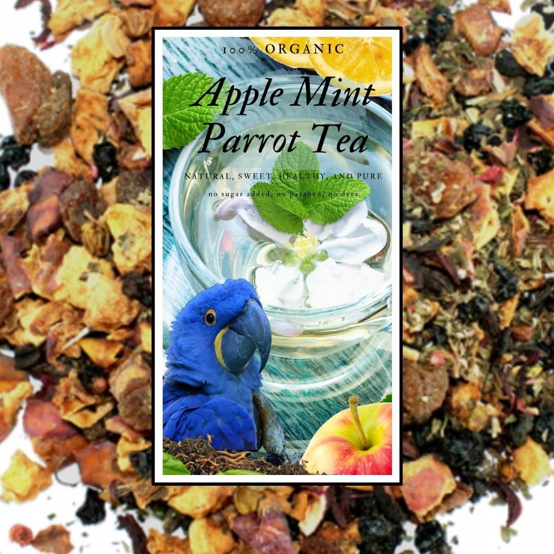 Premium Parrot Food Apple Mint Tea Organiczny Napar Herbatka Dla Papug ...
