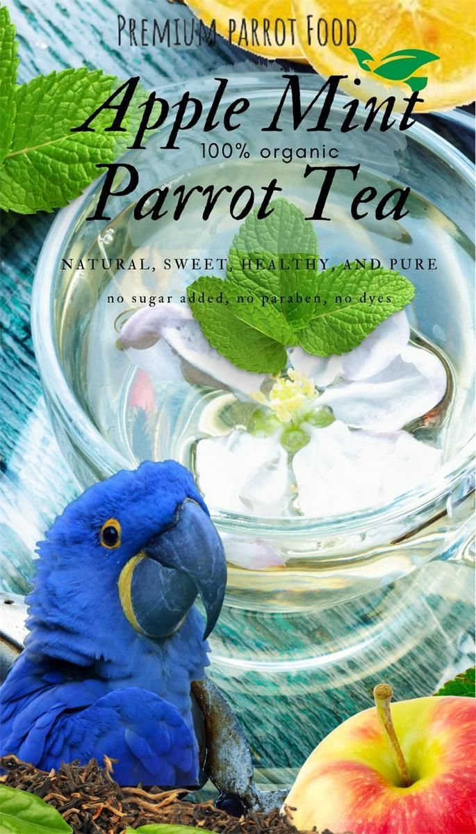 Premium Parrot Food Apple Mint Tea Organiczny Napar Herbatka Dla Papug ...