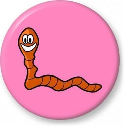 Krak-Przypinki Broszka Przypinka 37mm Dżdżownica Glista - Ceny i opinie ...