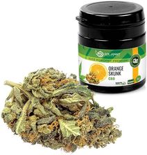 Preparat medycyny naturalnej Dr Joint Susz Konopny CBD Premium Orange ...