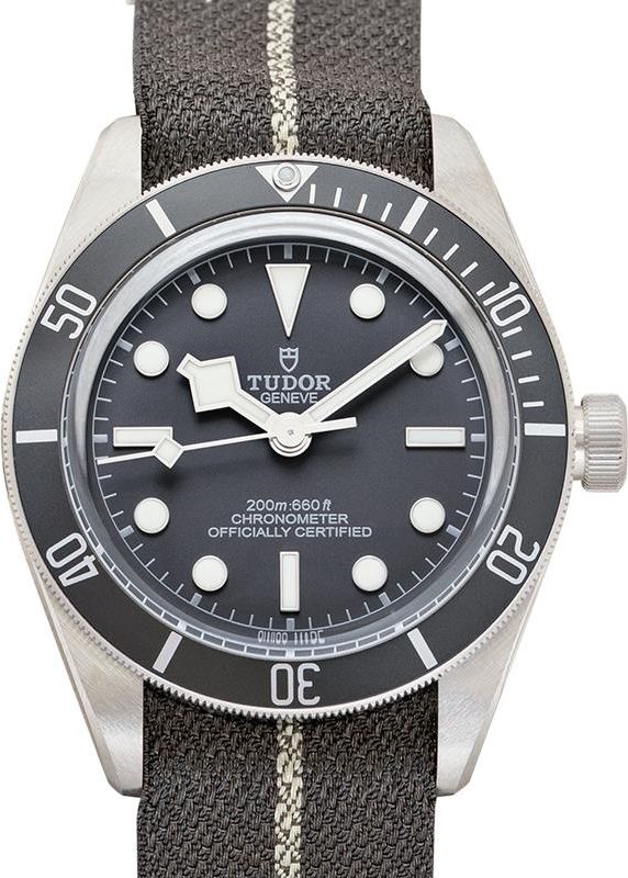 Tudor Automatic Grey Dial Crystal 79010SG0002 - Zegarki Męskie - Ceny i ...