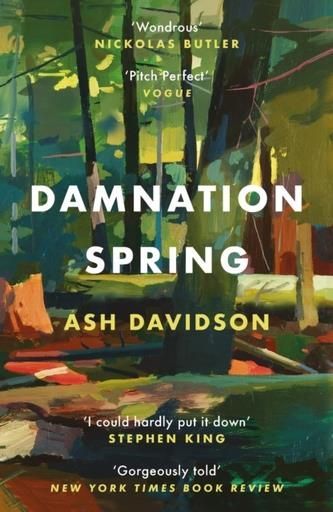 Damnation Spring Davidson, Ash - Literatura obcojęzyczna - Ceny i ...