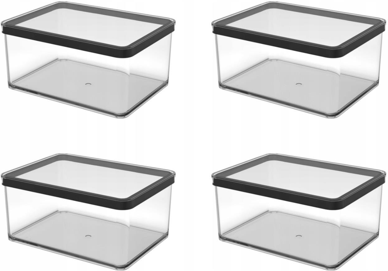 Rotho Pojemnik Loft 2,25L 4Szt Czarna Obwódka - Opinie i atrakcyjne ...