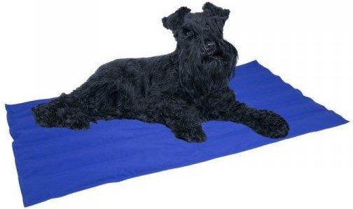 Nayeco Dywan Dla Psa Cool Mat Niebieski Żelu Chłodzącego 1x50x40cm ...