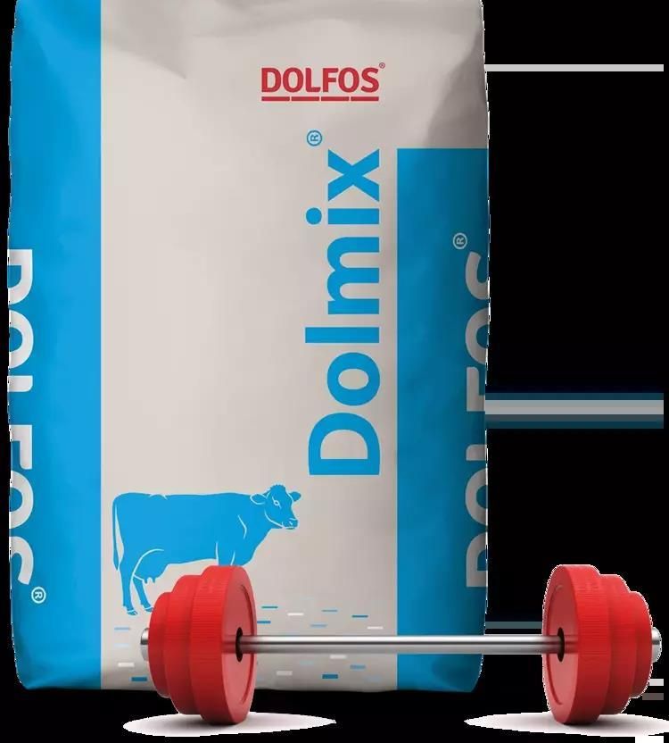 DOLFOS DOLPOWER 10KG - ceny i opinie - Ceneo.pl