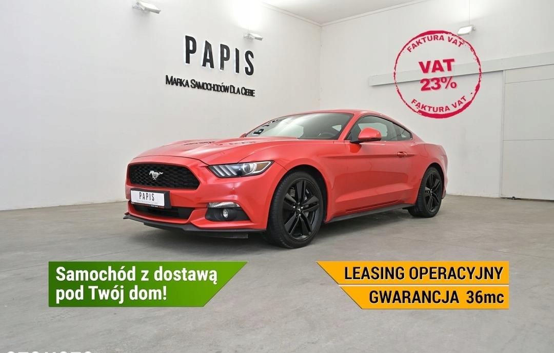 Ford Mustang 2.3 EcoBoost - Opinie i ceny na Ceneo.pl