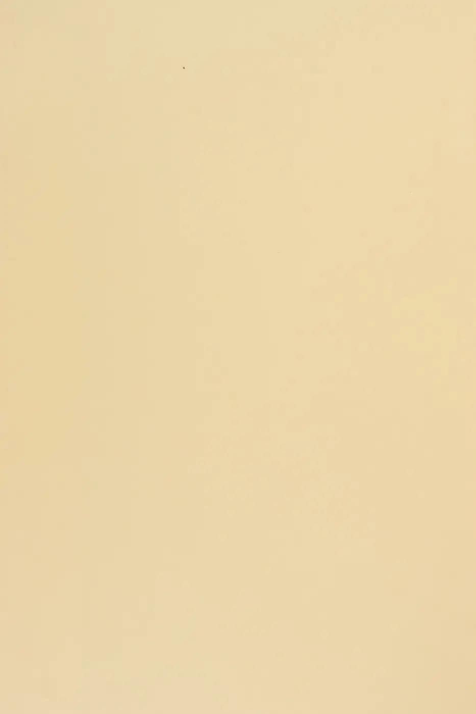 Sirio Color Papier Col. 210G Paglierino Waniliowy 25A4 (Fe210Sc2A4 ...