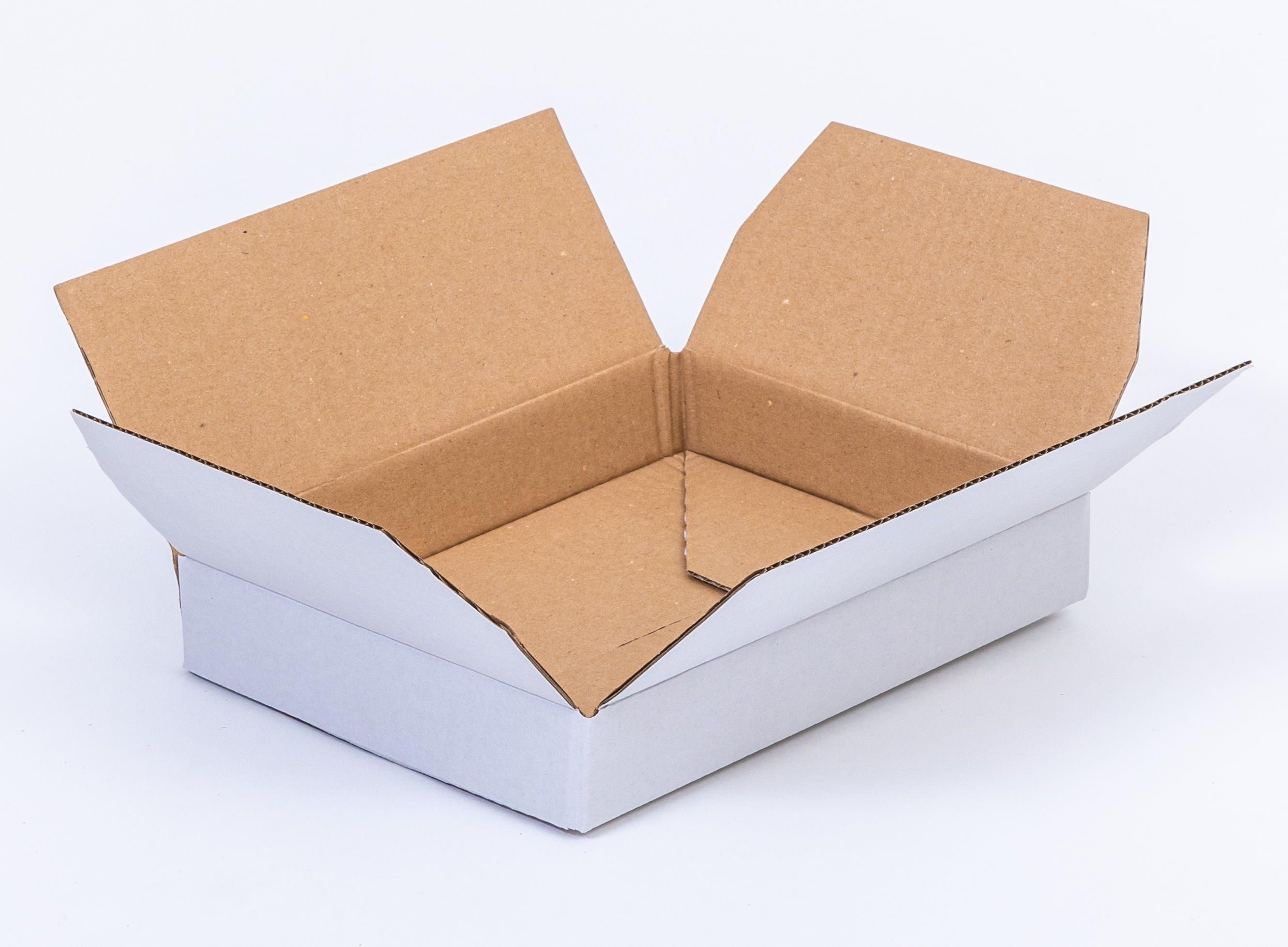 Karton Klapowy 250X200X50Mm 3W B 360G/M2 Biały Poczta Polska List ...