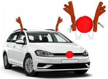 Rogi 41 Cm + Nos Renifera Na Samochód Auto Rudolf 583 - Opinie i ...